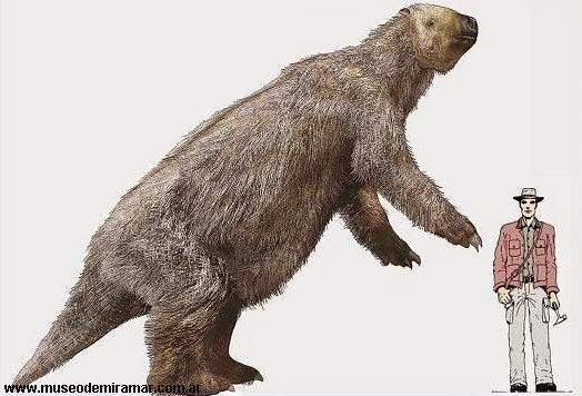 Encuentran fósiles del perezoso prehistórico más grande del mundo en ...
