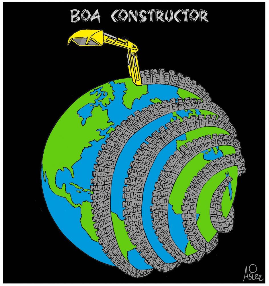 Boa Constructor - ASIER
